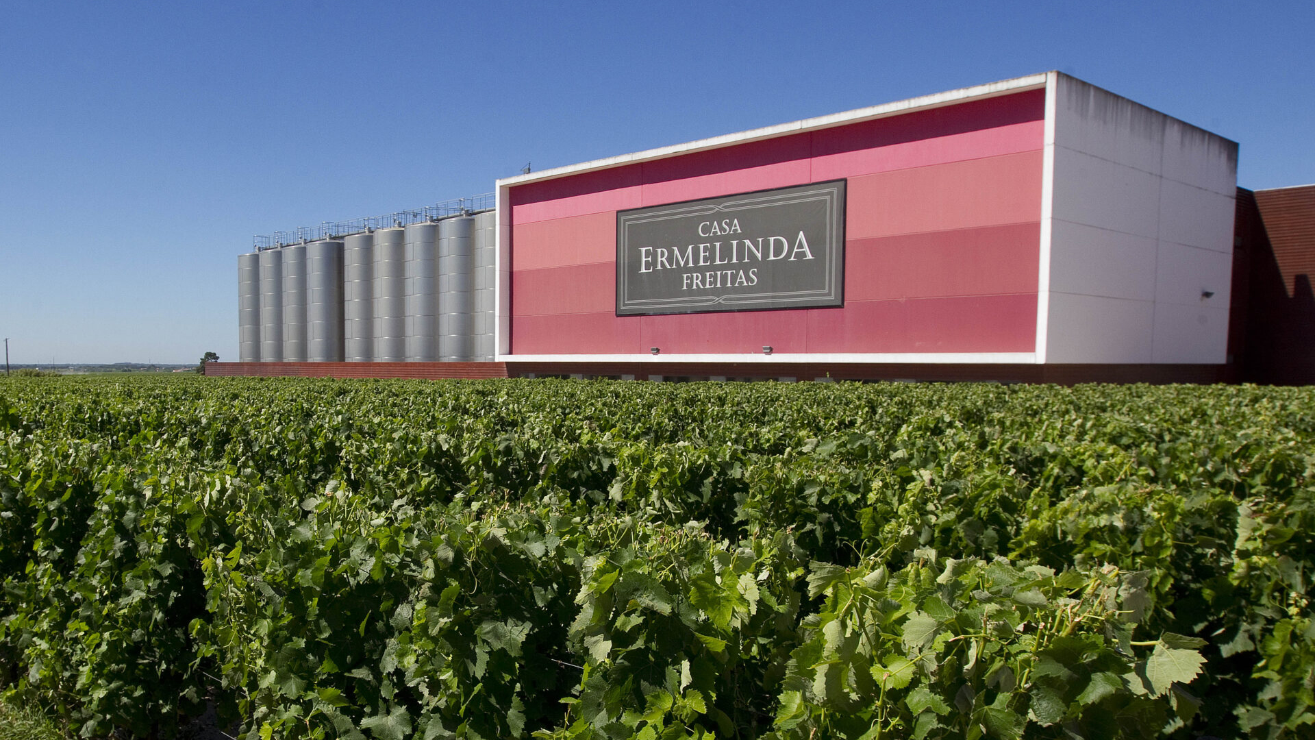 Casa Ermelinda Freitas distinguida no Vinalies Internationales 2025 ...